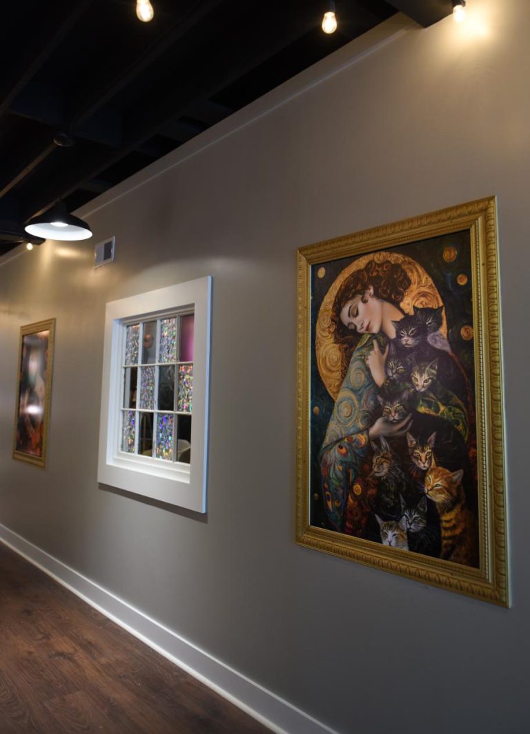 Mac Tabby - Downtown Salisbury, NC